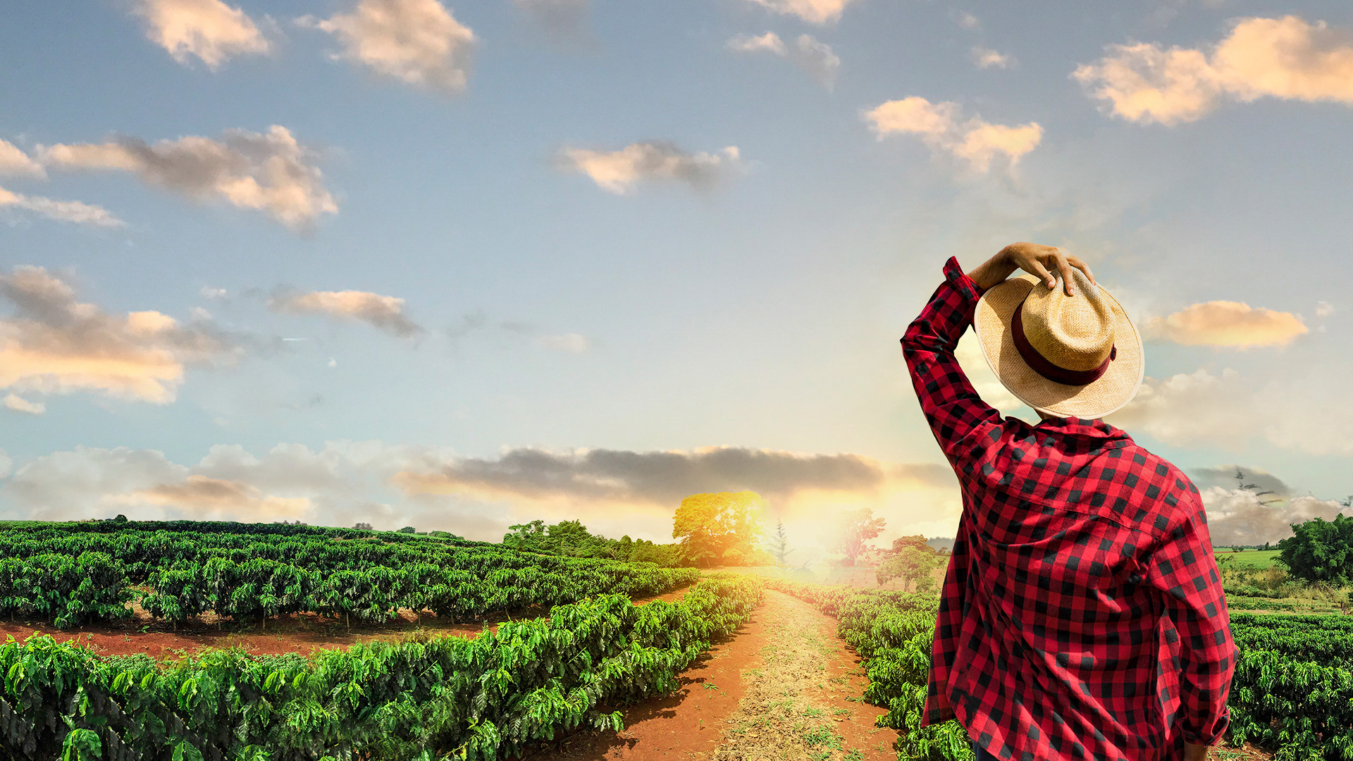 Solubles Instantáneos