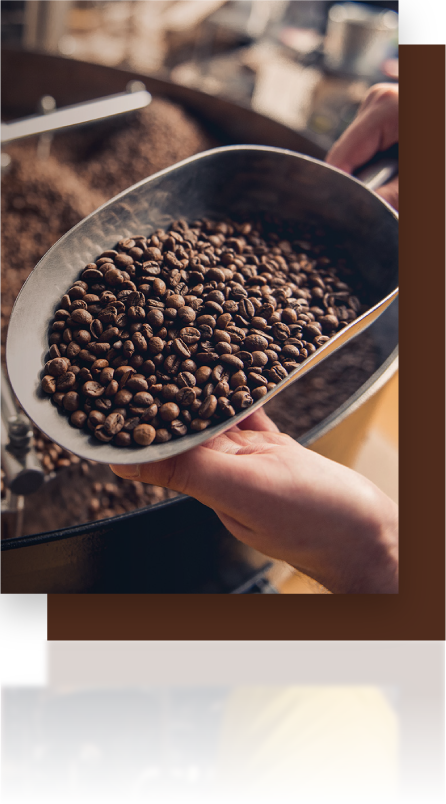 Solubles Instantáneos