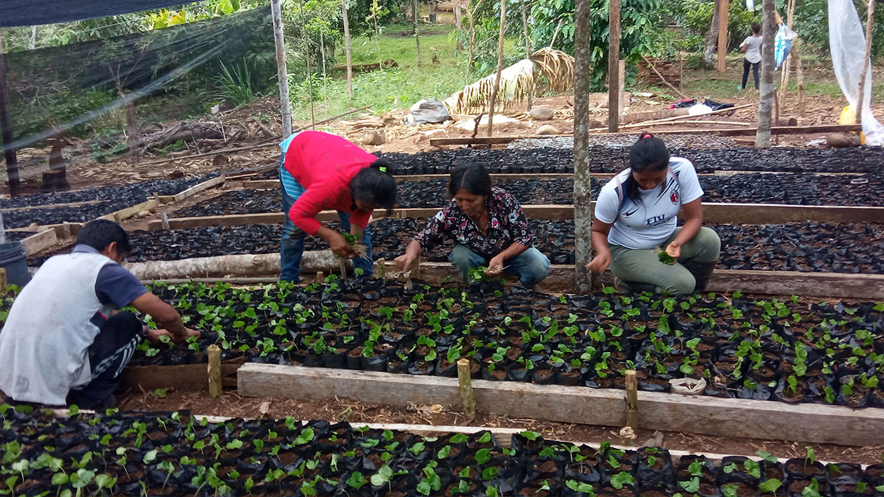 Solubles Instantáneos